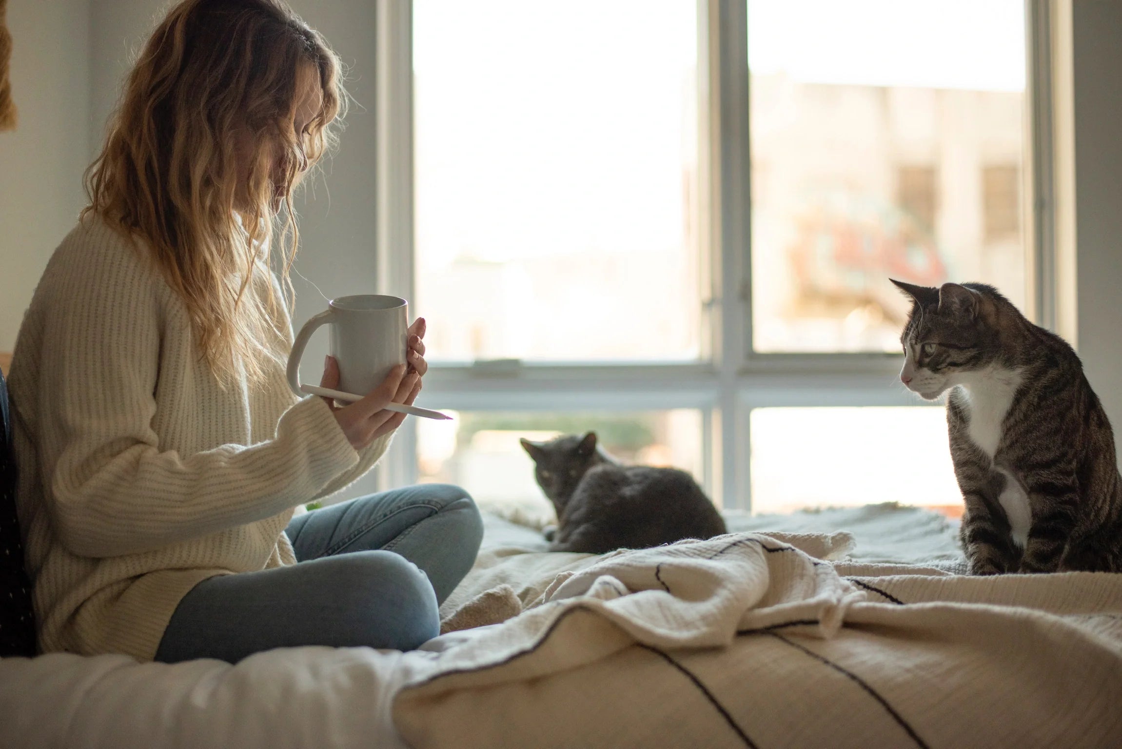 Understanding Chemical-Free Mugs: Benefits and Features - CURVD